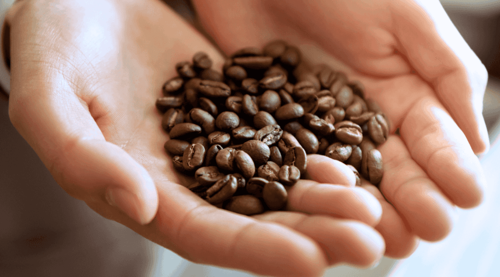 Simplify Global Trade with Seadex’s Expert Services